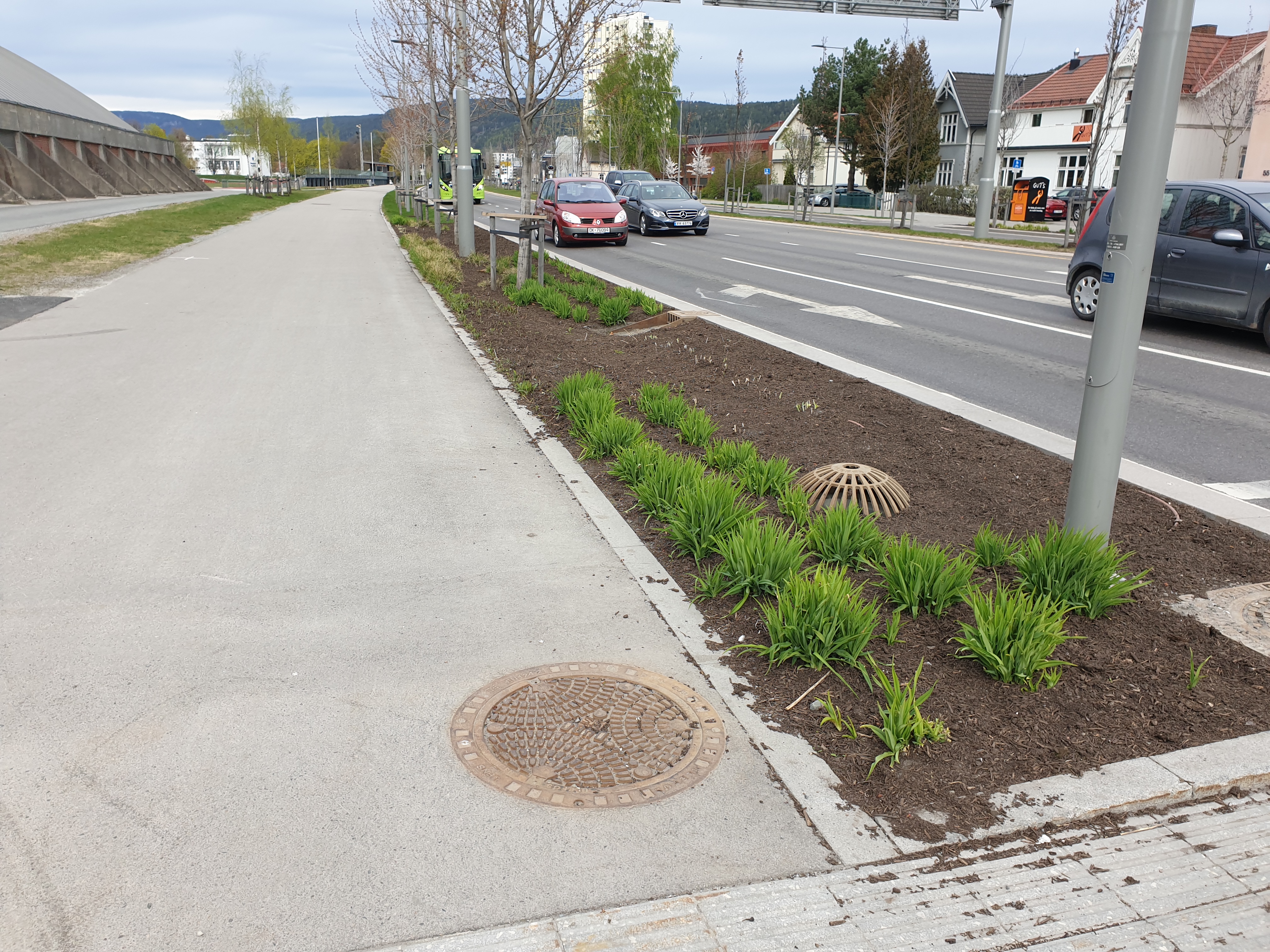 Eksempelsamling for overvannstiltak: Regnbed og vadi, Drammen